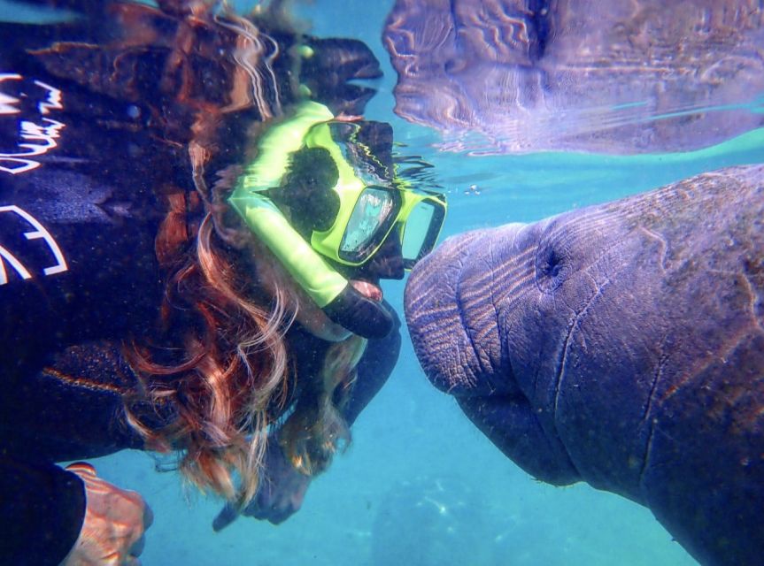Crystal River: Manatee Swim Group Tour - What Makes This Tour Stand Out