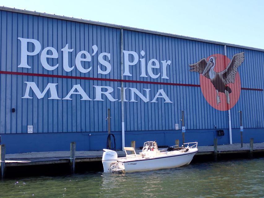 Crystal River: Manatee Viewing Cruise - An In-Depth Look at the Experience