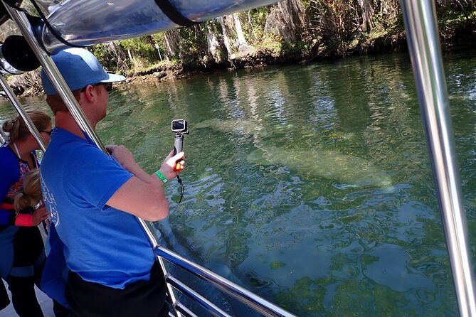 Crystal River Manatee Viewing Cruise - The Sum Up