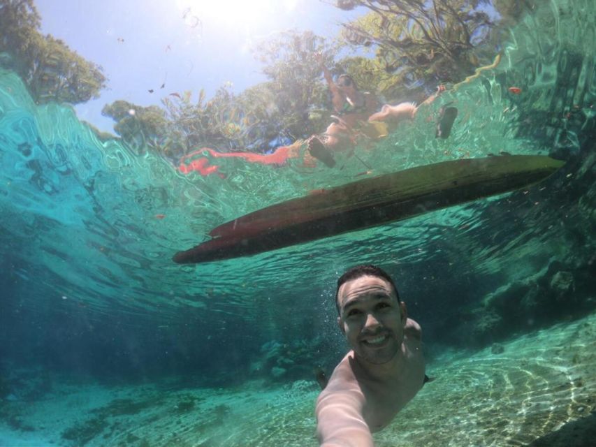 Crystal River: Paddle Board Rental - Exploring the Experience in Detail