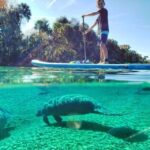 Crystal River: Paddle Board Rental - The Reviewers Perspective: Pros & Cons
