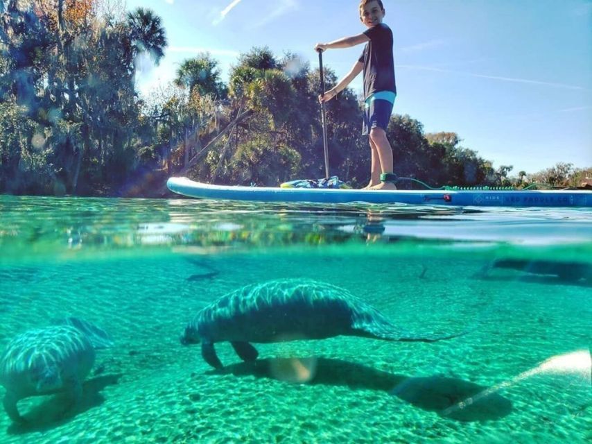 Crystal River: Paddle Board Rental - The Reviewers Perspective: Pros & Cons