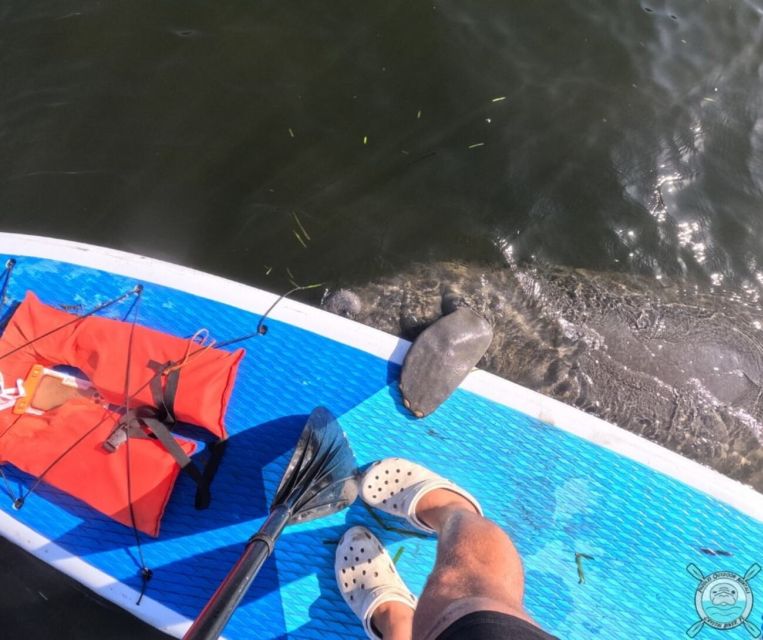 Crystal River: Paddle Board Rental - Who Is This Tour Best Suited For?