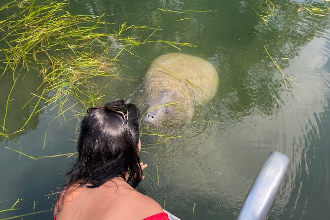 Crystal River: Private Manatee Boat Tour - Crystal River: Private Manatee Boat Tour Review
