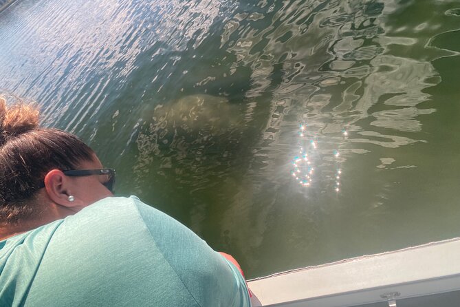 Crystal River: Private Manatee Boat Tour - Why This Tour Stands Out