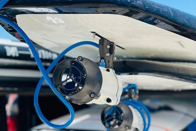 Crystal River Reserve State Park Electric Paddleboard Rentals - An In-Depth Look at the Electric Paddleboard Experience in Crystal River