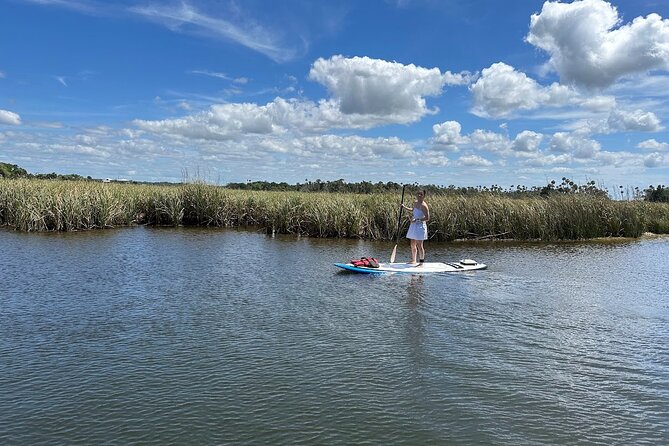 Crystal River Reserve State Park Electric Paddleboard Rentals - Why This Experience Might Be Right for You