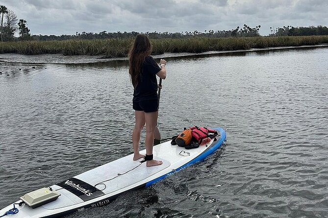 Crystal River Reserve State Park Electric Paddleboard Rentals - Final Thoughts: Who Should Consider This Tour?