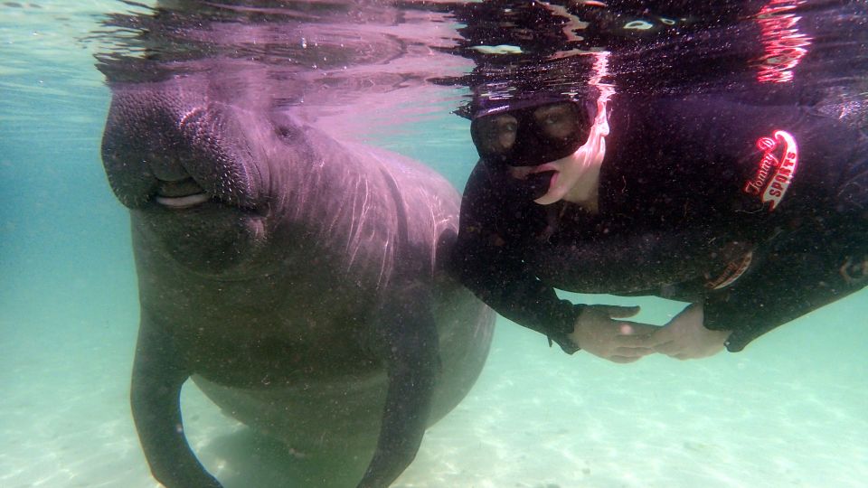 Crystal River: Snorkel with Manatees & Dolphin Airboat Trip - The Itinerary: What to Expect on Your Day