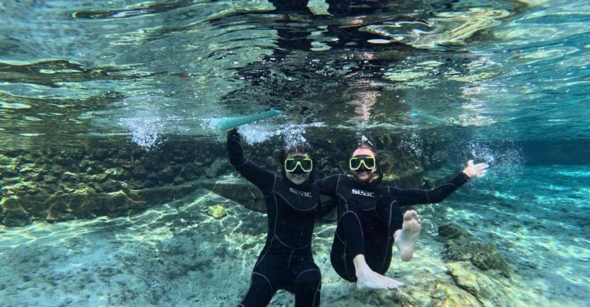 Crystal River: Springs Snorkeling Tour - Why This Tour Offers Great Value