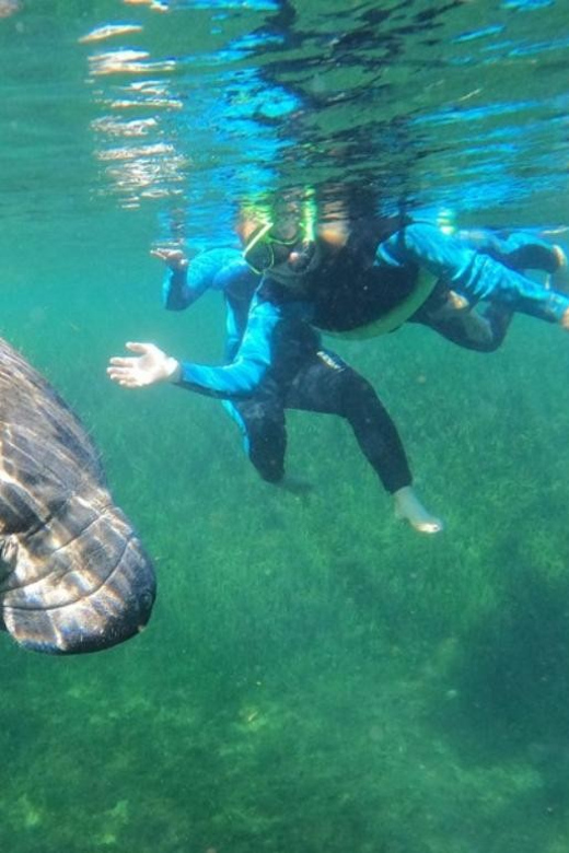 Crystal River: VIP Kayak and Swim with Manatees Tour - An In-Depth Look at the Experience