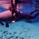 Crystal River: VIP Kayak and Swim with Manatees Tour - Weighing the Value: Price and Authenticity