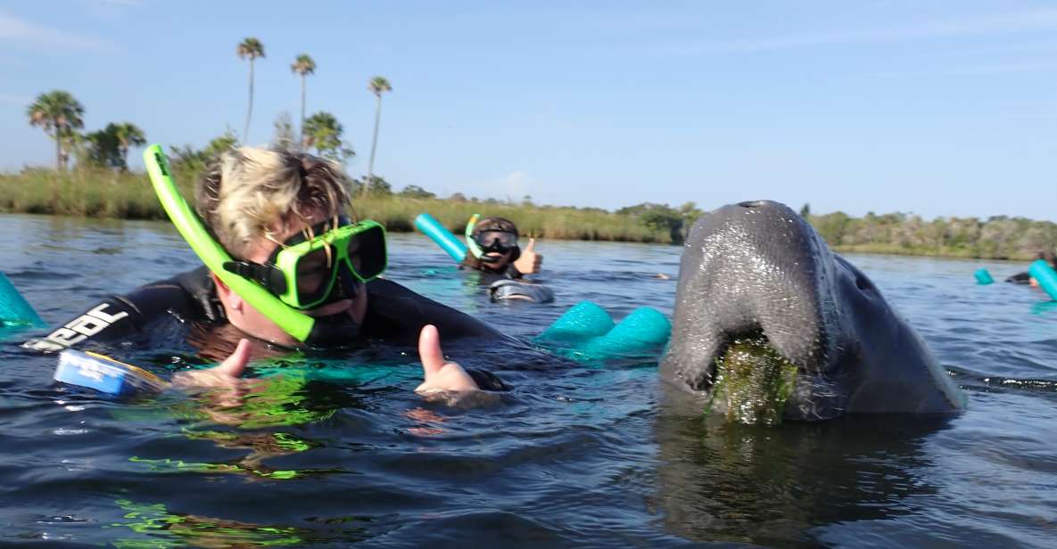 Crystal River: VIP Manatee Swim w/ In-water Photographer - Crystal River: VIP Manatee Swim with In-water Photographer — A Detailed Review