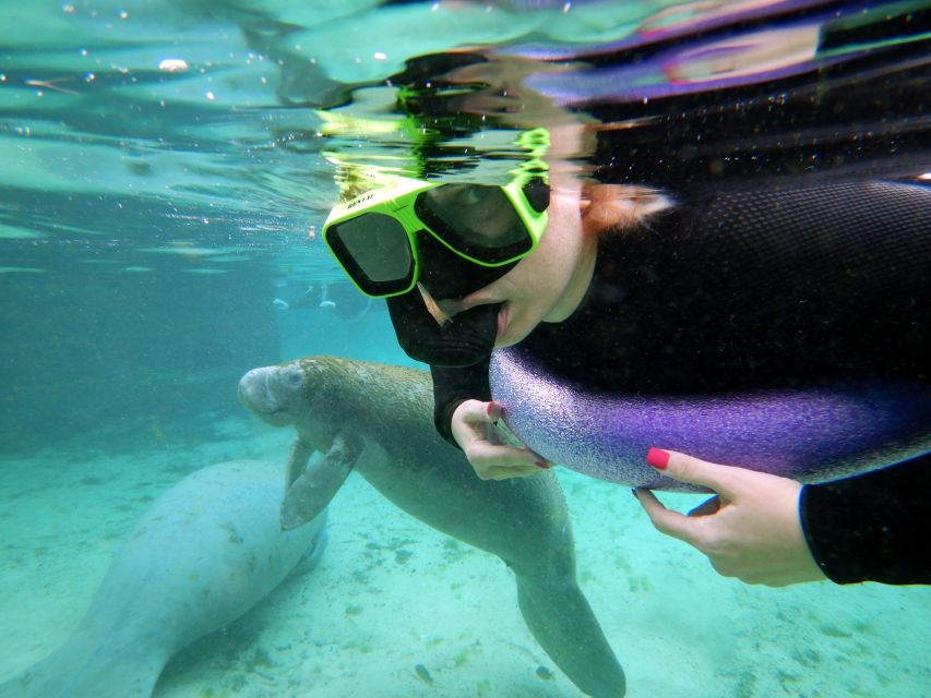 Crystal River: VIP Manatee Swim w/ In-water Photographer - What to Expect from the Crystal River Manatee Tour