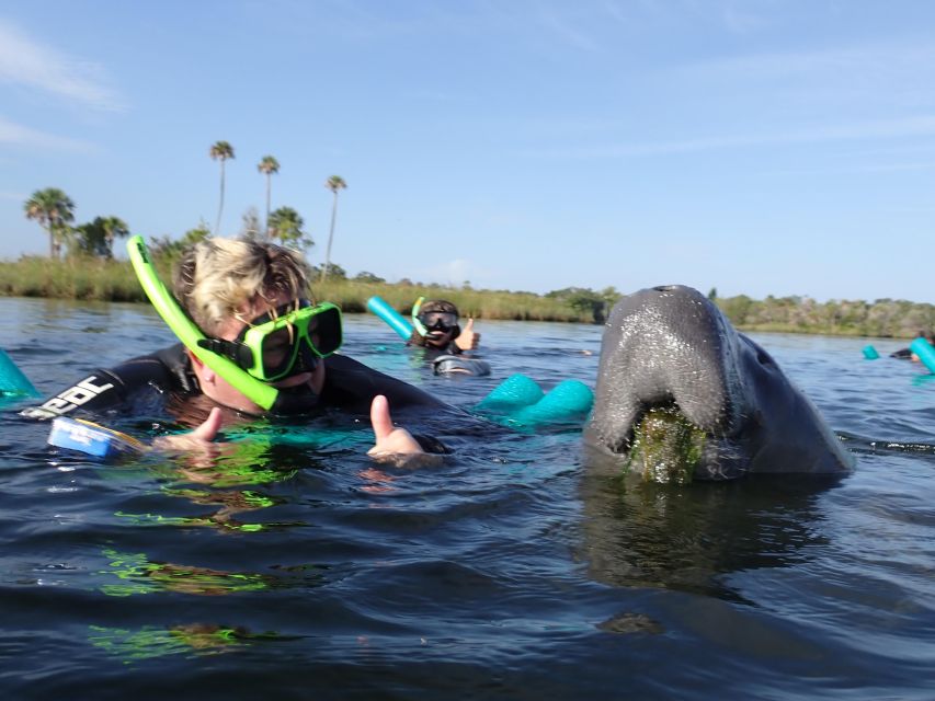 Crystal River: VIP Manatee Swim w/ In-water Photographer - Frequently Asked Questions