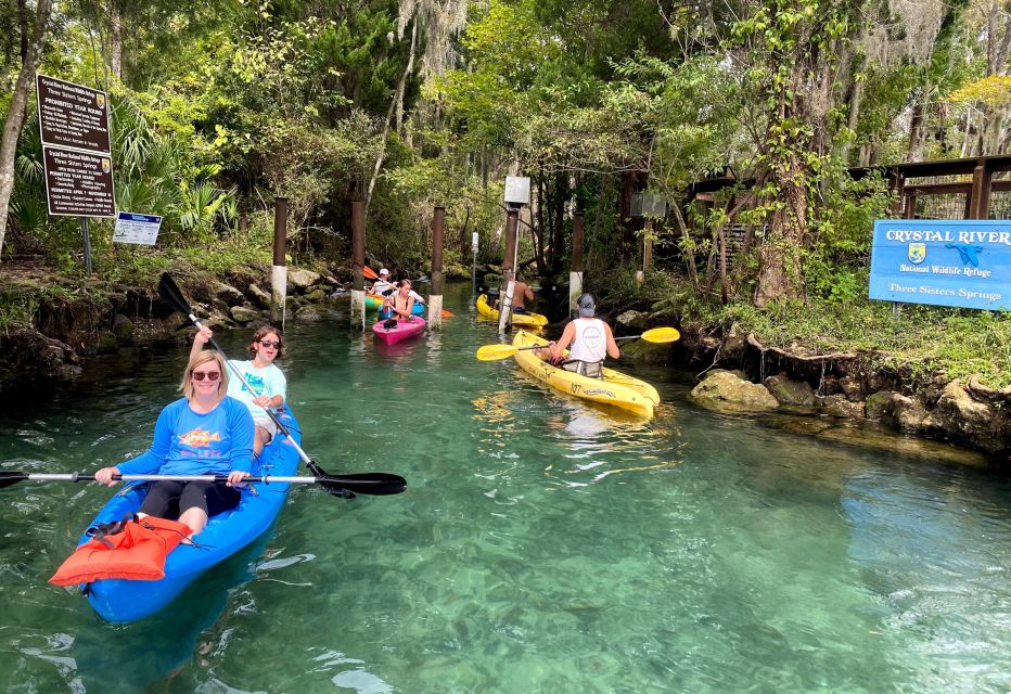 Crystal River:Three Sisters Springs Guided Kayak & Swim Tour - Returning and Photography