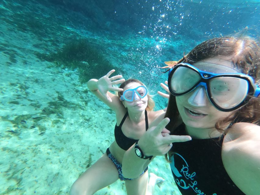 Crystal River:Three Sisters Springs Guided Kayak & Swim Tour - Practical Details & Tips