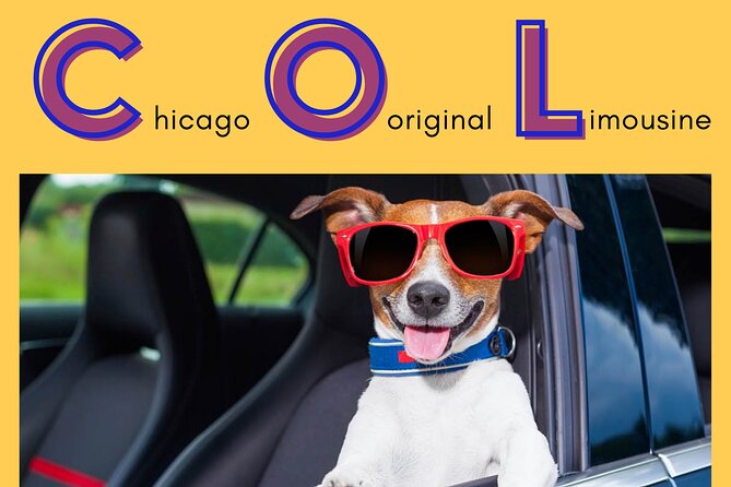 Curbside Sedan Transportation from O'Hare or Midway Airport to Downtown Chicago - Safety and Professionalism