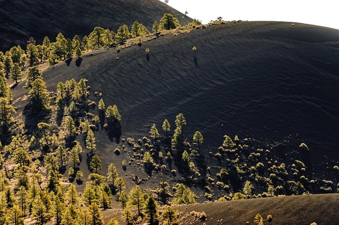 Custom Flagstaff Day Tour from Phoenix - Key Points  