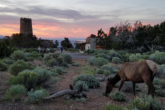 Custom Grand Canyon Day Trip - What Makes This Tour Stand Out