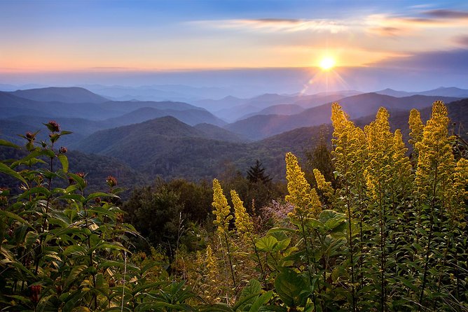 Custom Half-Day Photo Tour with Photography Lessons from Asheville - In-Depth Itinerary Breakdown