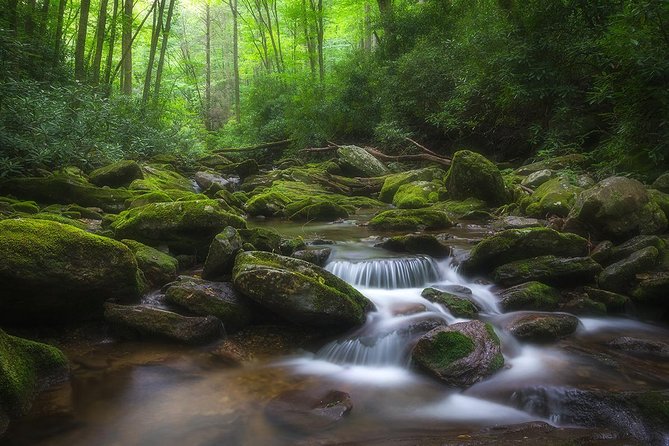 Custom Half-Day Photo Tour with Photography Lessons from Asheville - What’s Included and What’s Not
