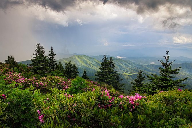 Custom Half-Day Photo Tour with Photography Lessons from Asheville - Practical Details: Logistics and Experience
