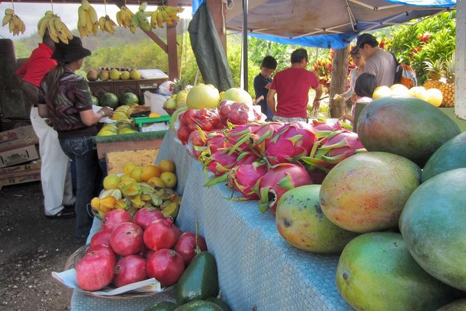 Custom Island Tour - for 4 to 5 people - up to 8 hours - Private tour of Oahu - References