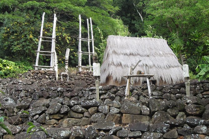 Custom Island Tour - for 6 to 14 people - up to 8 hours - Private tour of Oahu - Who Is This Tour Best For?