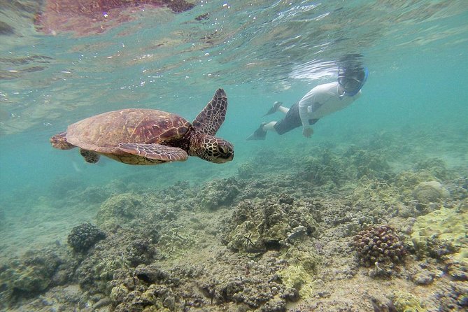 Custom Island Tour - for 6 to 14 people - up to 8 hours - Private tour of Oahu - FAQ