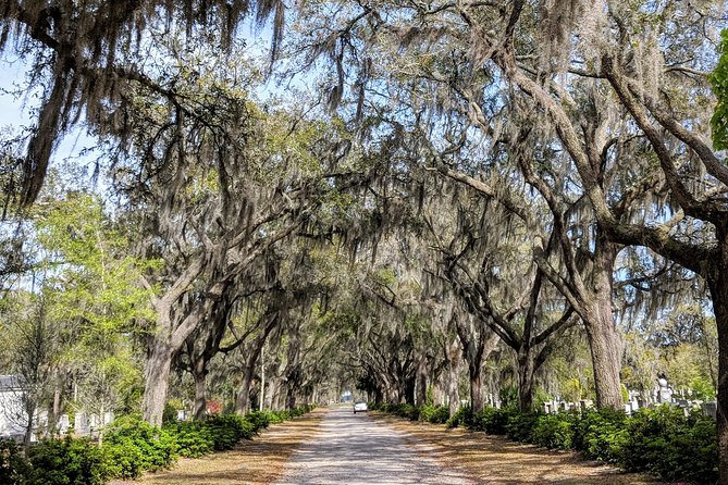 Custom Savannah Private Tour - The Stops That Make It Special