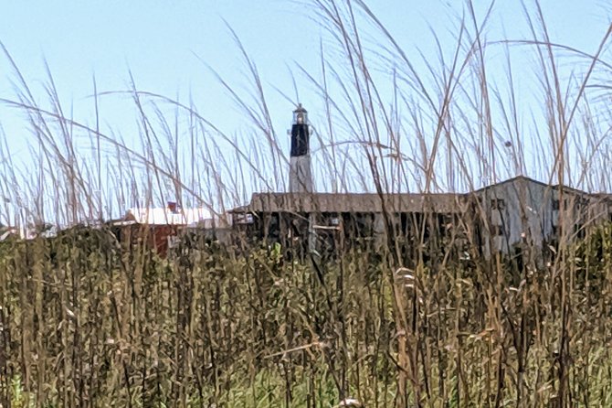 Custom Savannah Private Tour - Final thoughts
