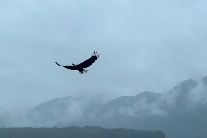 Custom Tour In Ketchikan - FAQ