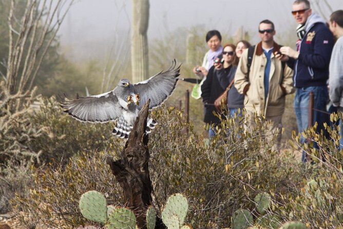 Custom Tucson Day Tour from Phoenix - Who Should Consider This Tour?