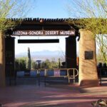 Custom Tucson Day Tour from Phoenix - Final Thoughts: Is It Worth It?