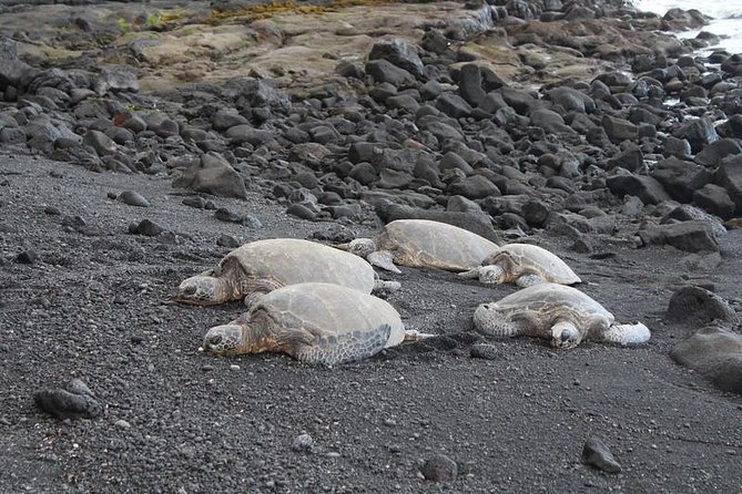 Custom Volcanoes National Park Tour with extra stops - Why the Price Reflects Great Value