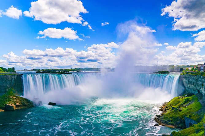 Customized Private "Step-On" Tour - An In-Depth Look at What You Can Expect