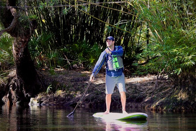 Cypress Forest: Guided Nature Kayak Eco-Tour - Key Points