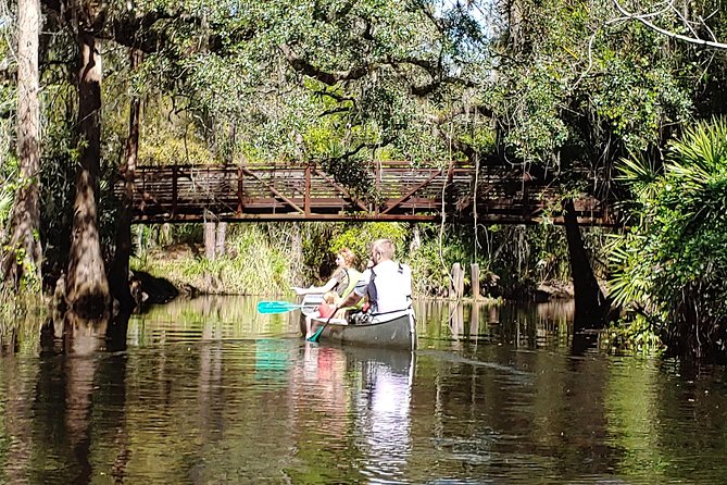 Cypress Forest: Guided Nature Kayak Eco-Tour - Experience Quality and Value