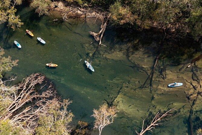 Cypress Springs Eco Adventure - An In-Depth Look at the Tour