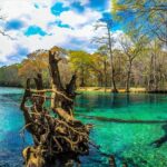 Cypress Springs Eco Adventure - Cost and Value Analysis