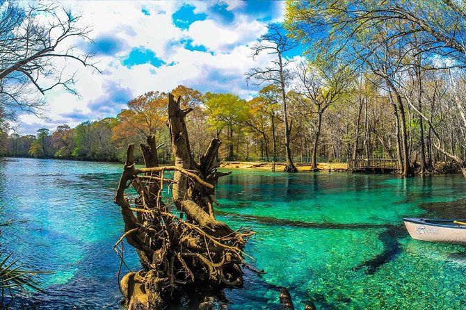 Cypress Springs Eco Adventure - Cost and Value Analysis