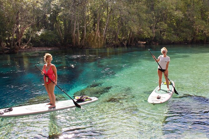 Cypress Springs Eco Adventure - FAQ