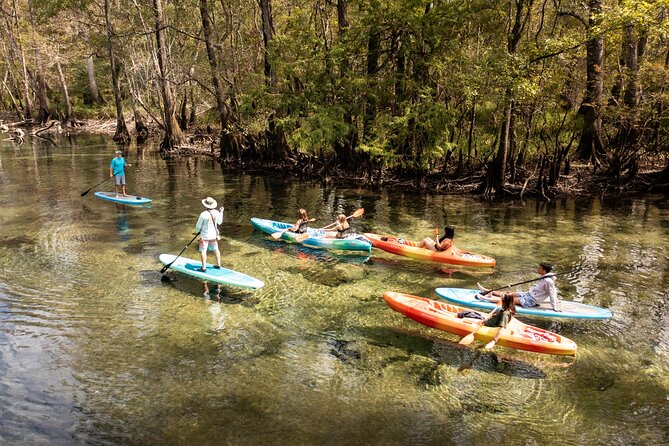 Cypress Springs Eco Adventure - Key Points