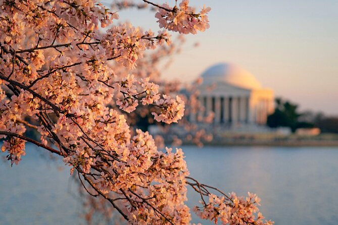 D.C. Cherry Blossom and Old Town Alexandria 2-Day Tour from NY - Key Points