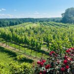 Dahlonega Wine & Dine Private Tour from Atlanta - Frequently Asked Questions