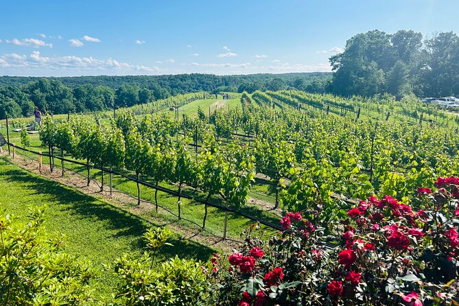 Dahlonega Wine & Dine Private Tour from Atlanta - Frequently Asked Questions