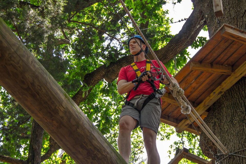 Dallas: Aerial Adventure Course Park Pass - The Real Benefits for Travelers