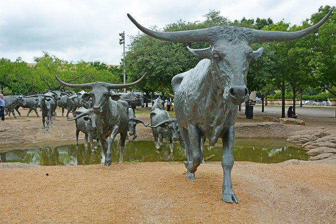 Dallas and JFK Cruizer Tour - FAQ