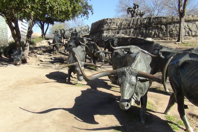 Dallas and JFK Full-Day Tour with Sixth Floor Museum and Oswald Rooming House - Final Thoughts: Who Should Consider This Tour?